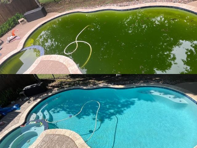 Why Does My Pool Keep Getting Algae—And How to Get Rid of It
