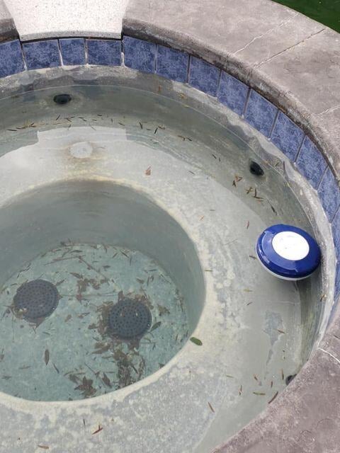 Pool Plaster Stain colors: Types, Causes, and How to Remove Them