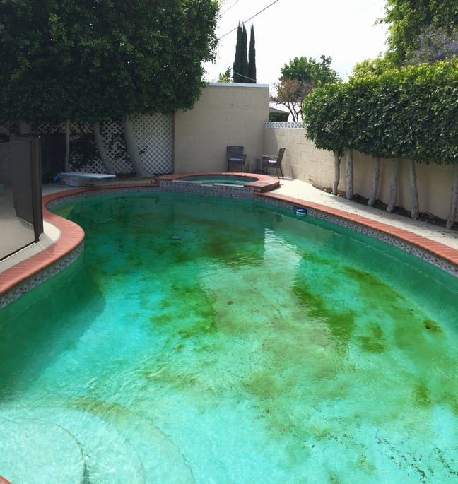 Pool Plaster Stain colors: Types, Causes, and How to Remove Them