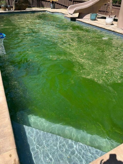 Pool Conditioner (CYA): Prevention and Hidden Dangers Explained