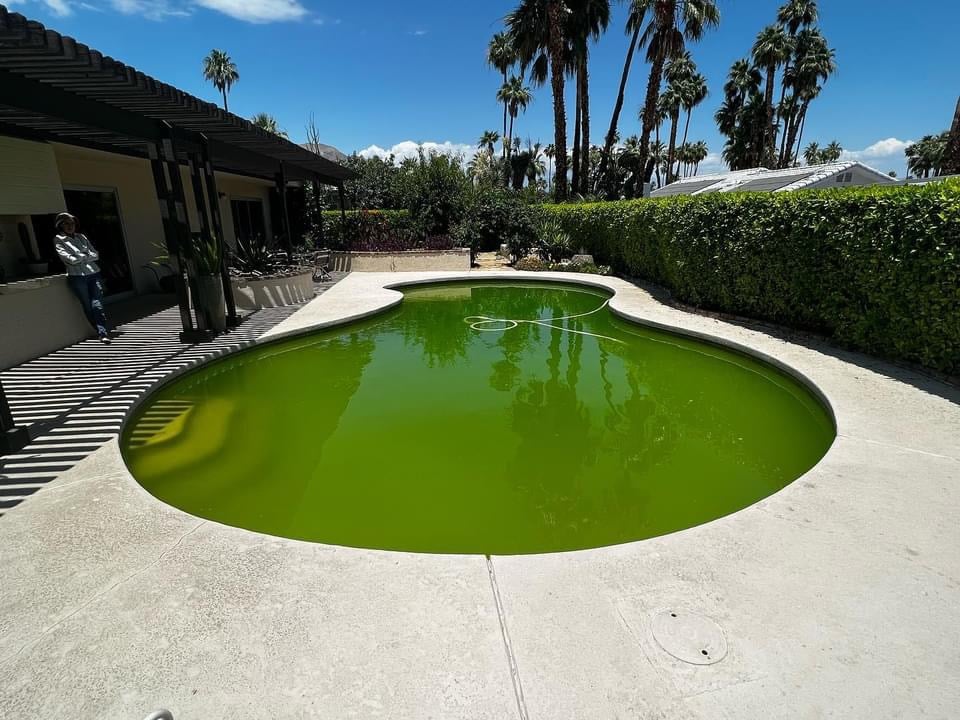 Why Is My Pool Water Cloudy or Off? 7 Must-Know Pool Chemistry Tips
