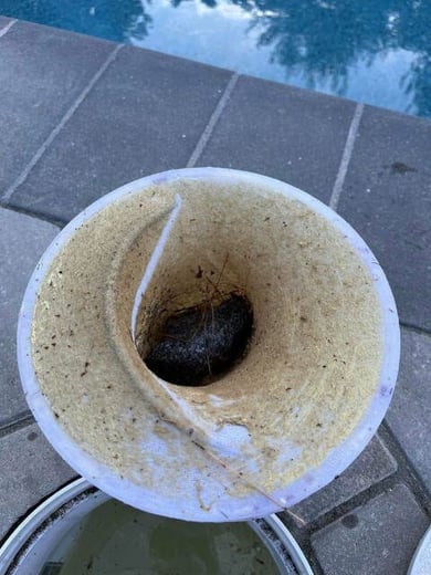 Pollen in Pools: Causes, Problems & Best Removal Tips