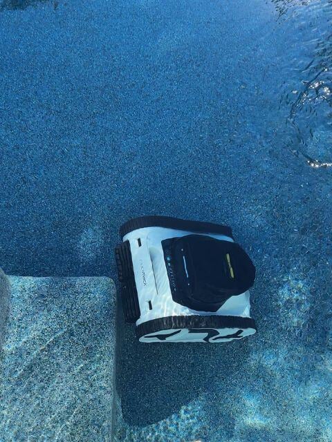 Pollen in Pools: Causes, Problems & Best Removal Tips